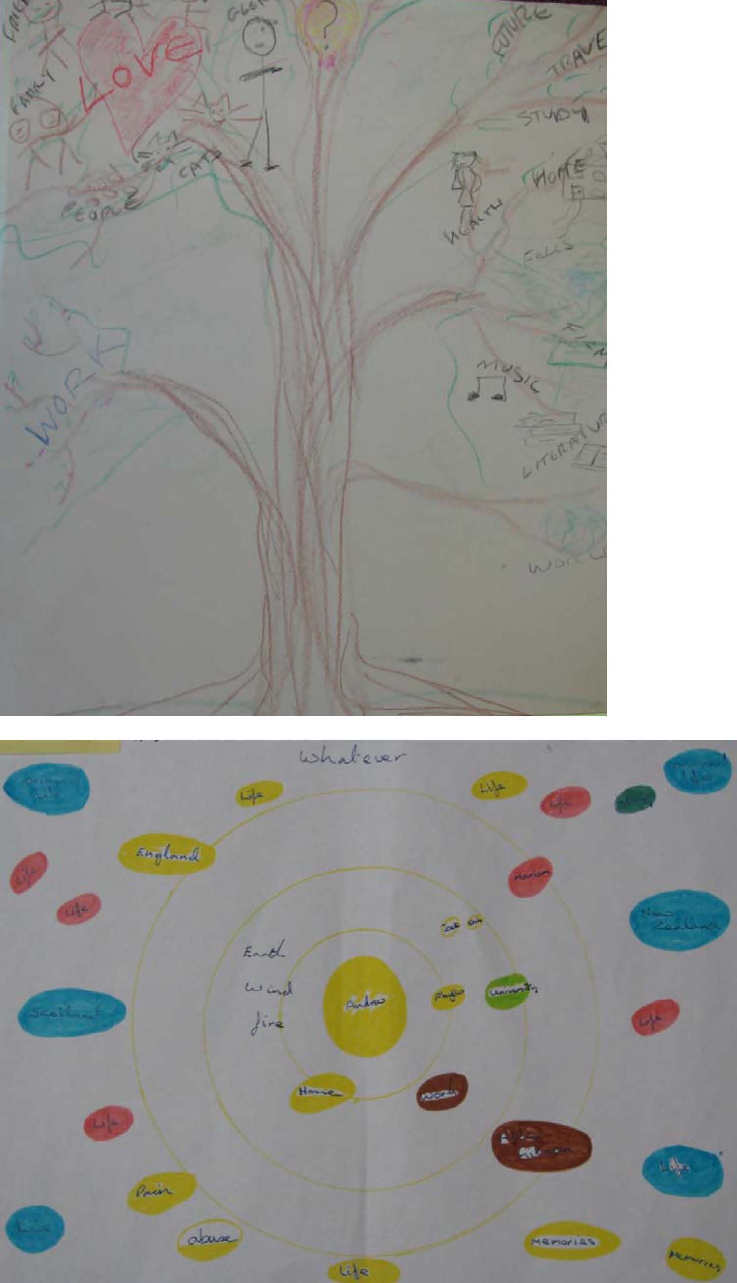 Life Space Mapping | SAGE Companion