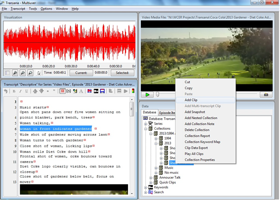 Chapter 7 – Coding (TRANSANA) | SAGE Companion
